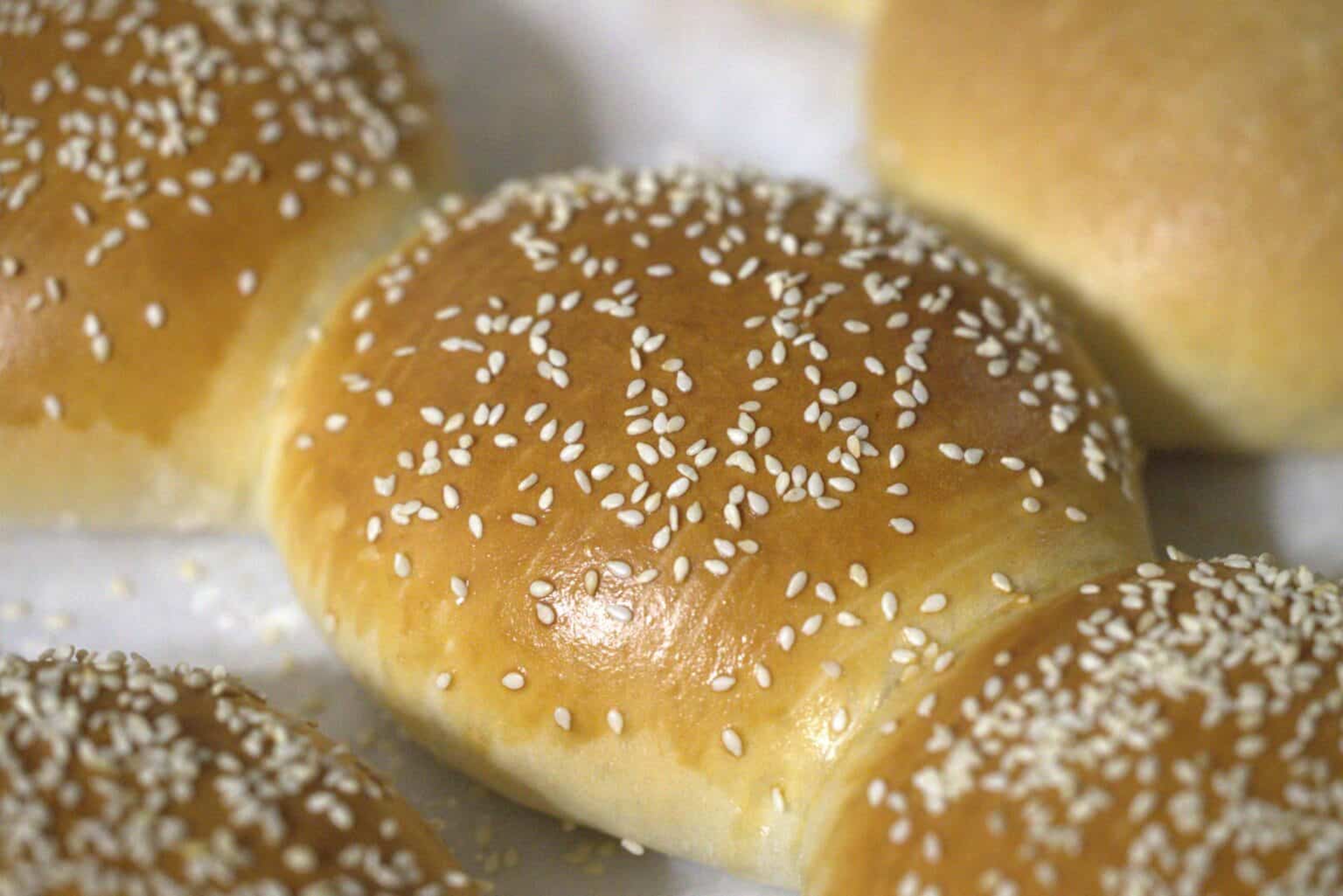 Perfect 100% Whole Wheat Hamburger Buns