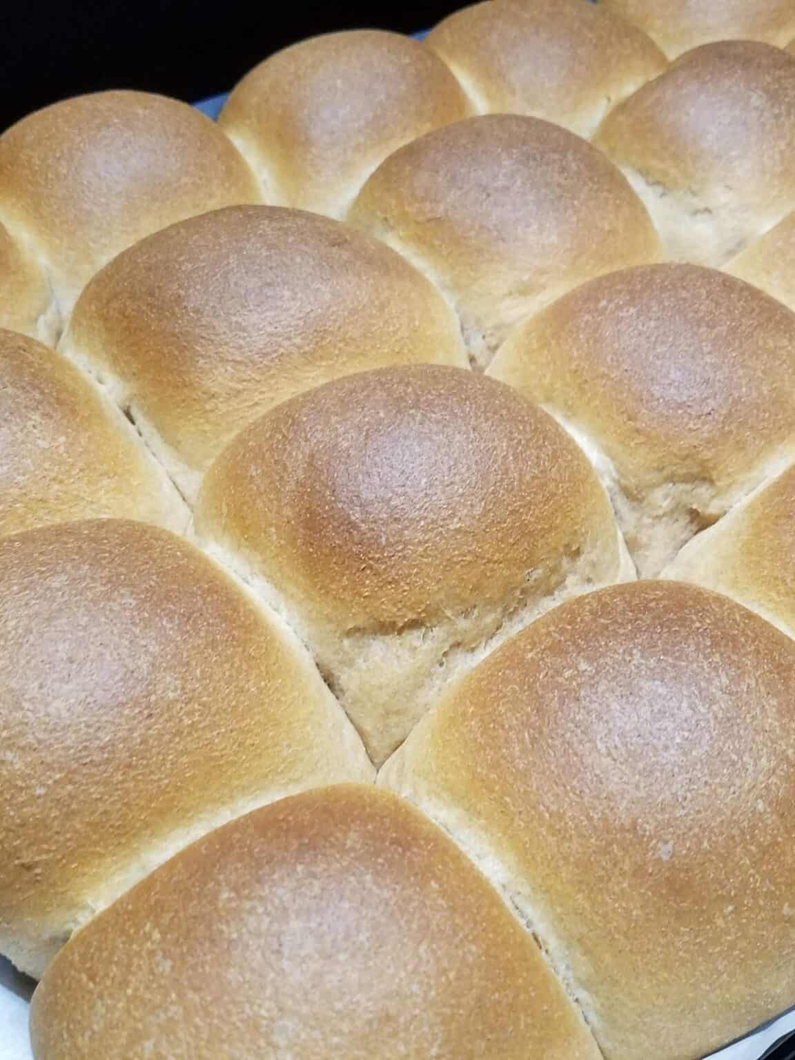 100% Whole Wheat Dinner Rolls with Sunflower Seeds - Camila Made