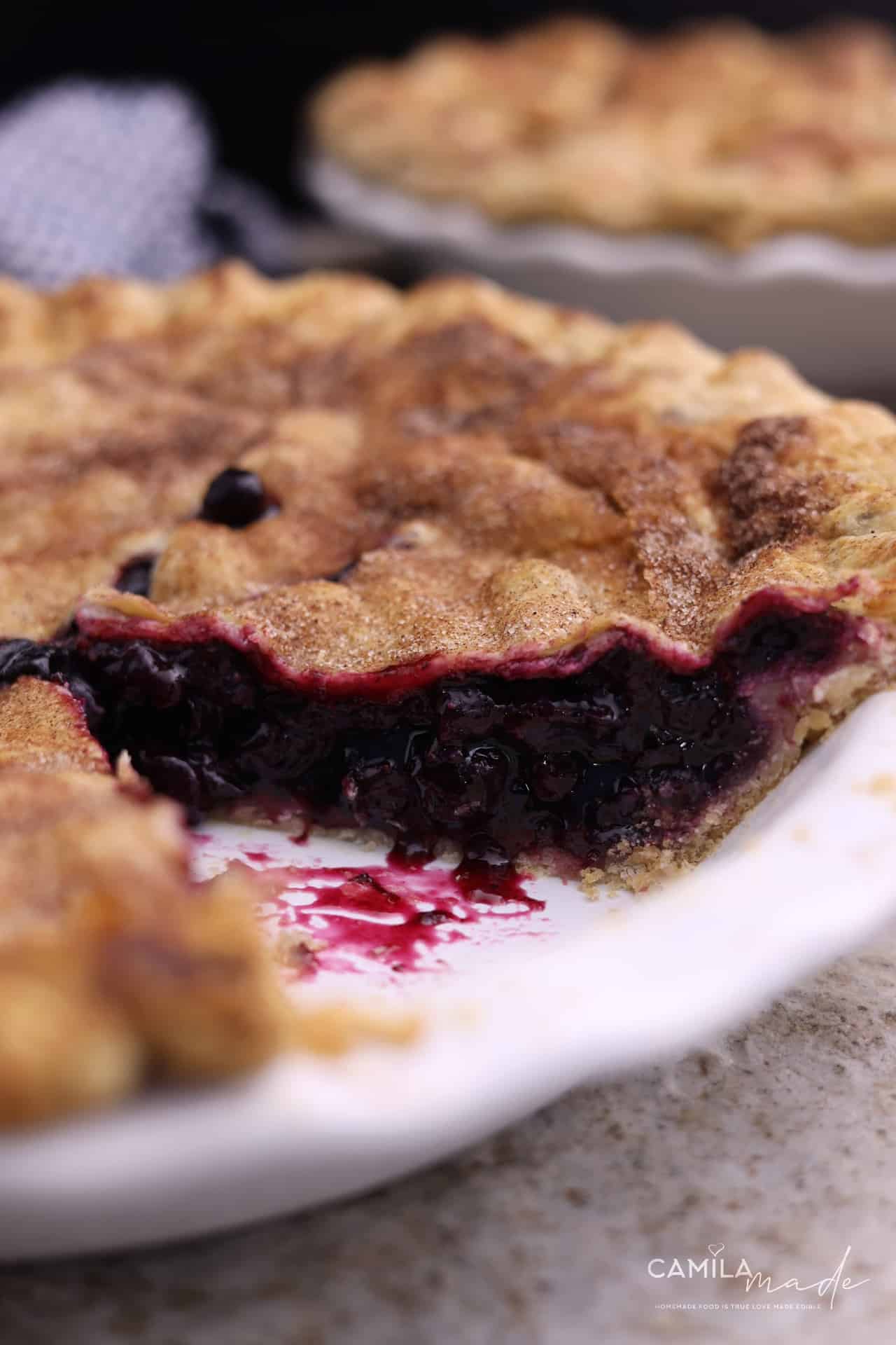 The Best Blueberry Pie | Camila Made