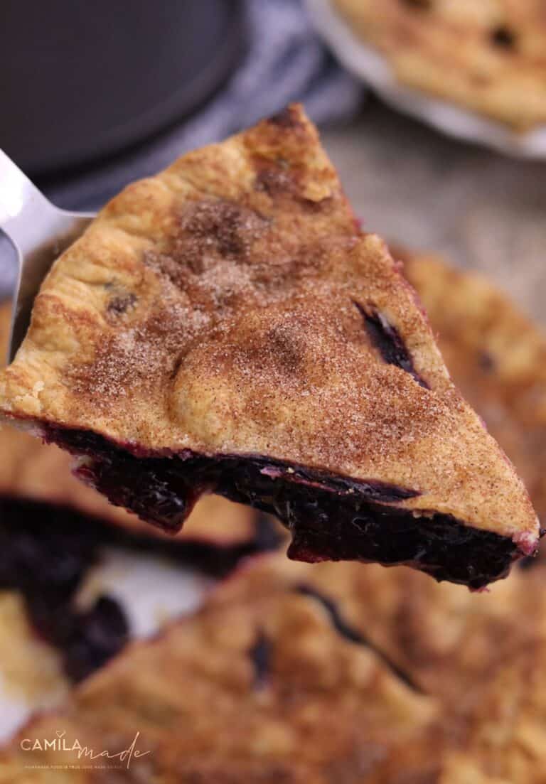 The Best Blueberry Pie - Camila Made