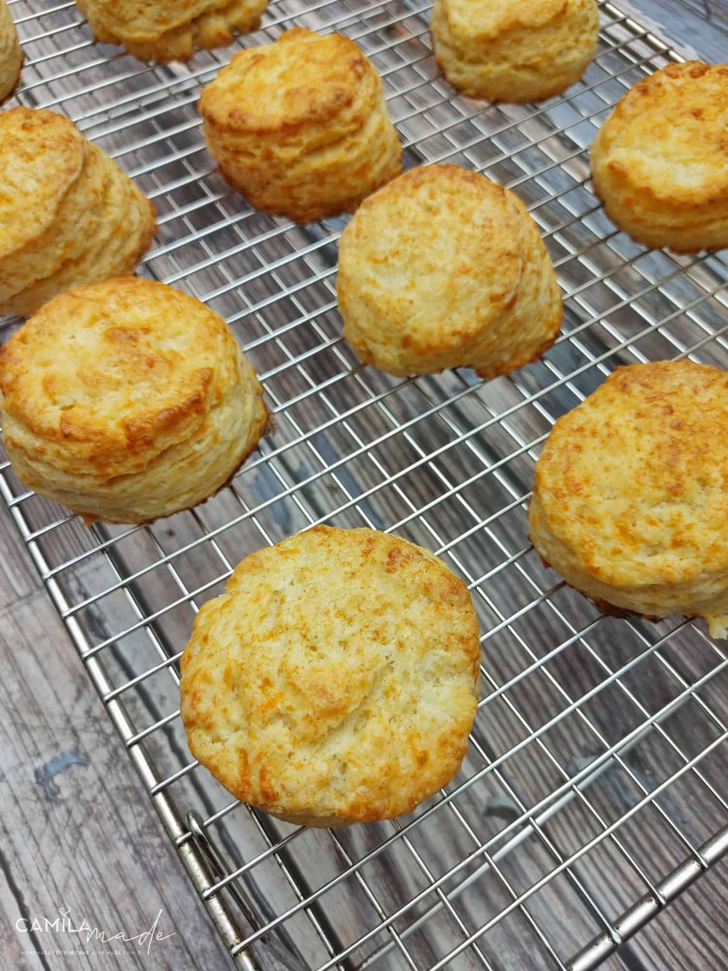 Cheese Biscuits: The Perfect Breakfast for Cheese Lovers! - Camila Made