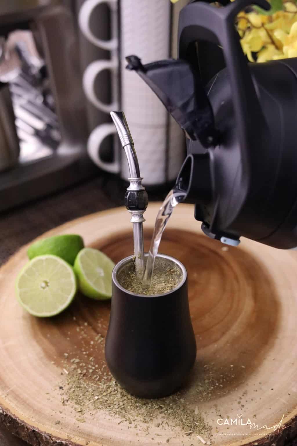 Terere: A Unique and Typical Yerba Mate Drink from Paraguay - Camila Made