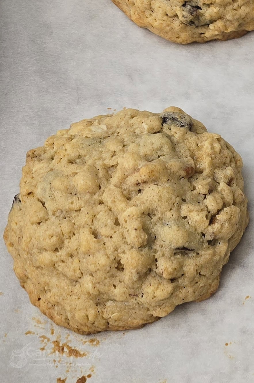 Giant Oatmeal Raisin Cookies with Pecans - Camila Made